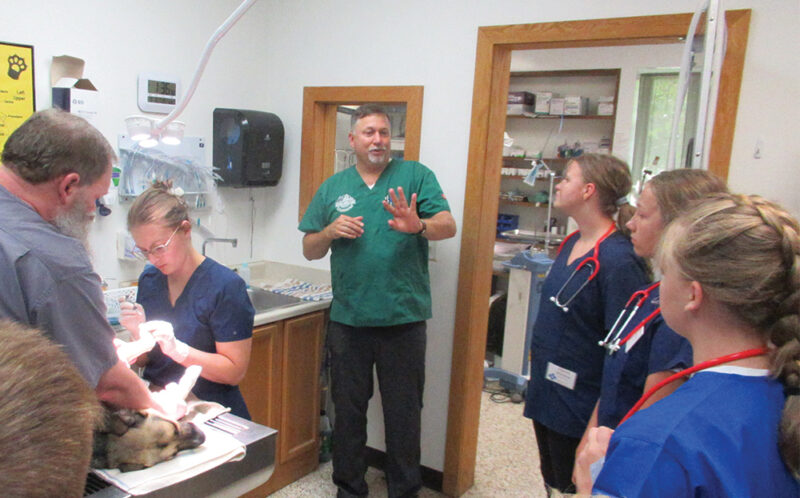 Finding A Pulse In Pet Care News Sports Jobs Marshall Independent finding-a-pulse-in-pet-care-news-sports-jobs-marshall-independent